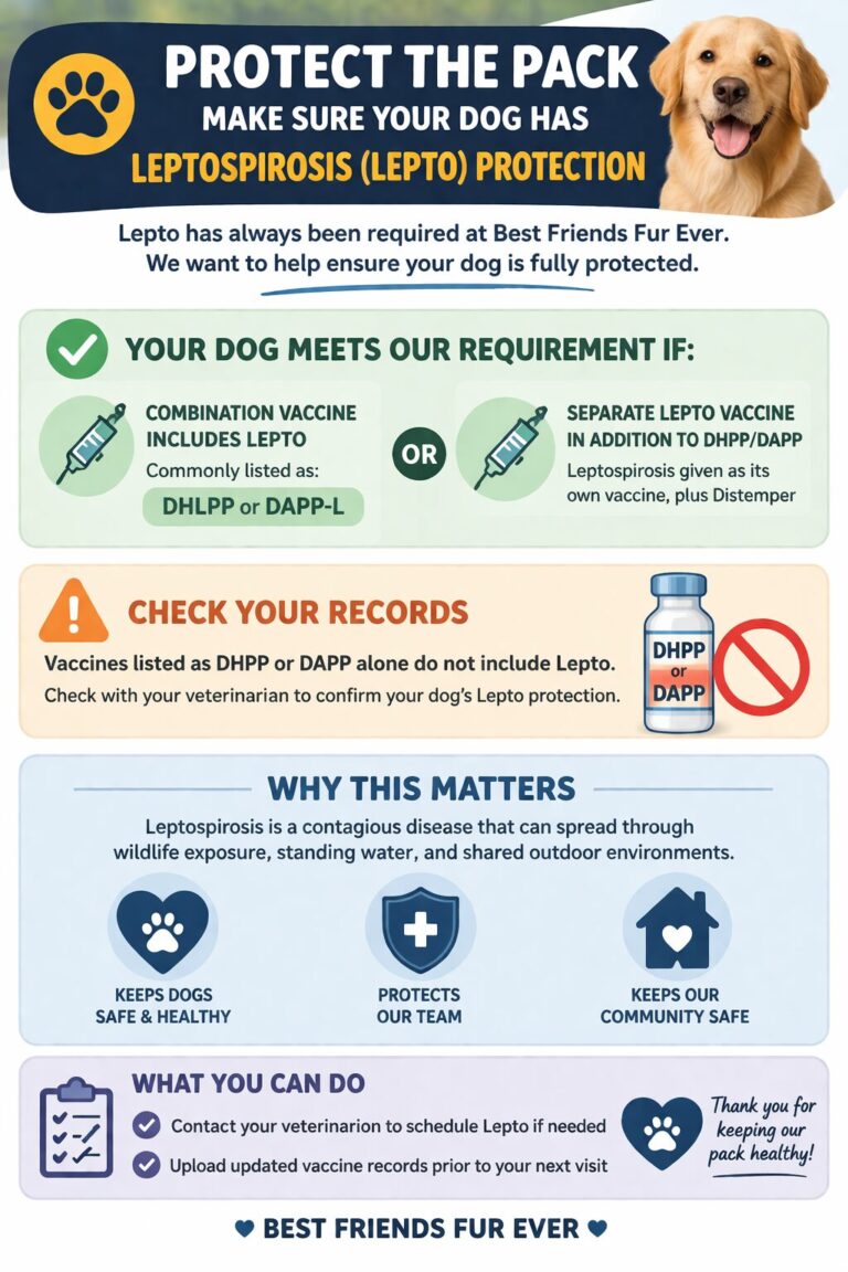 Does Your Dog Need the Lepto Vaccine? What DHPP vs DAPP Means for ...